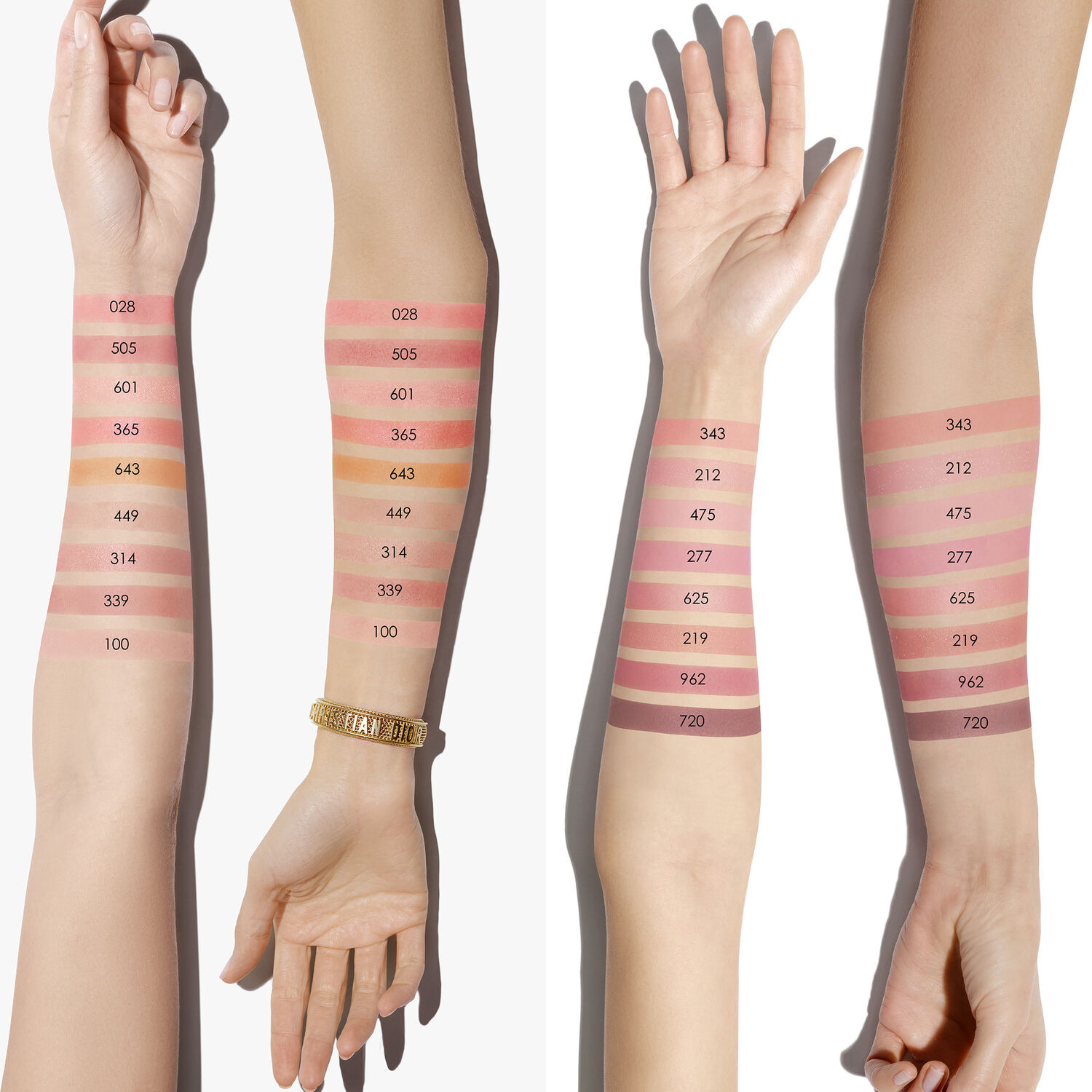 Ripley - RUBOR DIOR ROUGE BLUSH MATTE 100