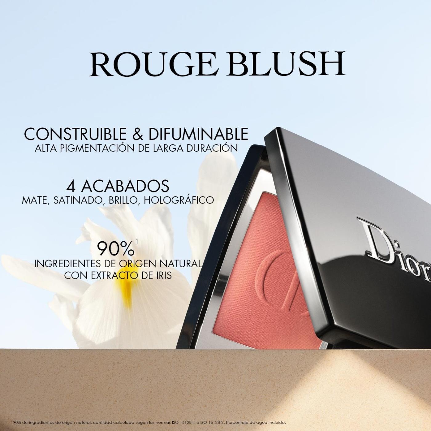 Ripley - RUBOR DIOR ROUGE BLUSH MATTE 100