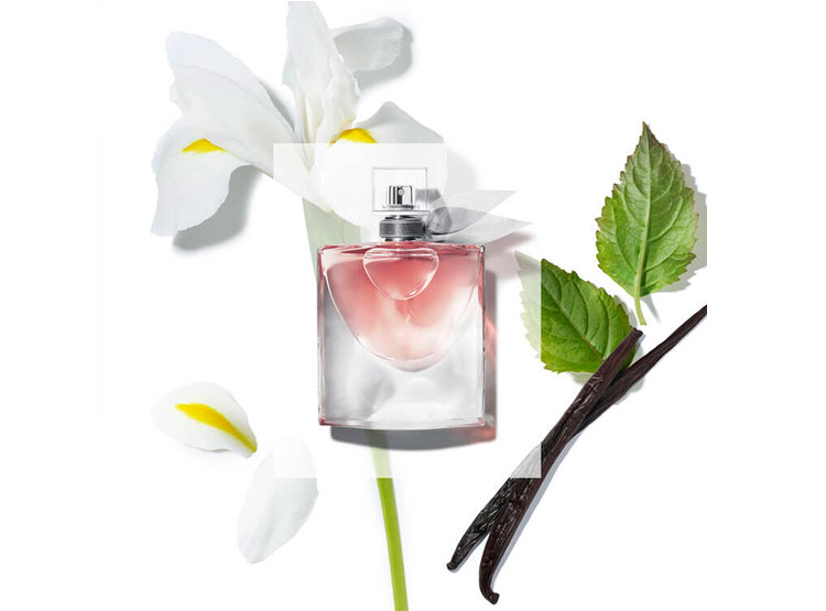 Ripley - PERFUME LANCOME PARA MUJER PACK LVEB EDP 50 ML + BONJOUR POUCH